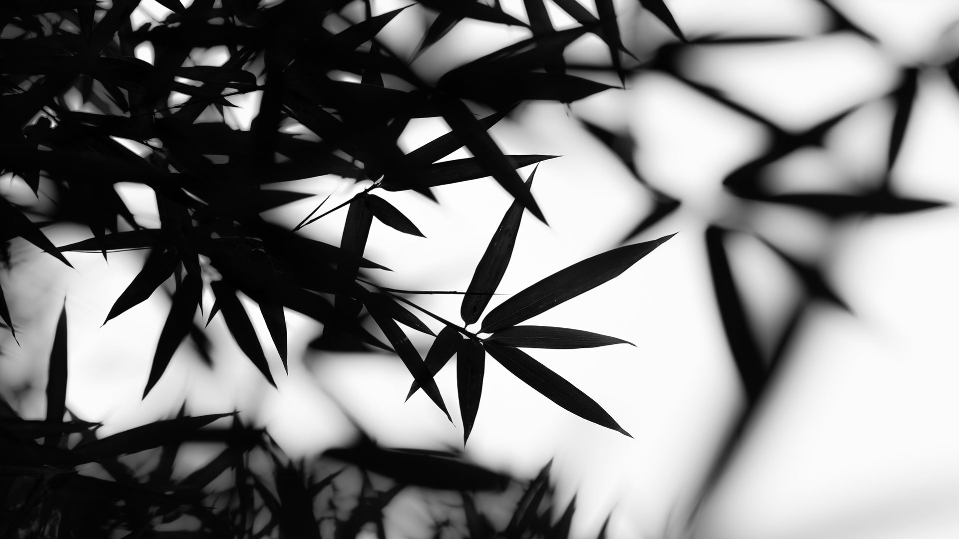 Contrast Sensitivity: Low-Contrast Objects in Low Light – Good-Lite Co