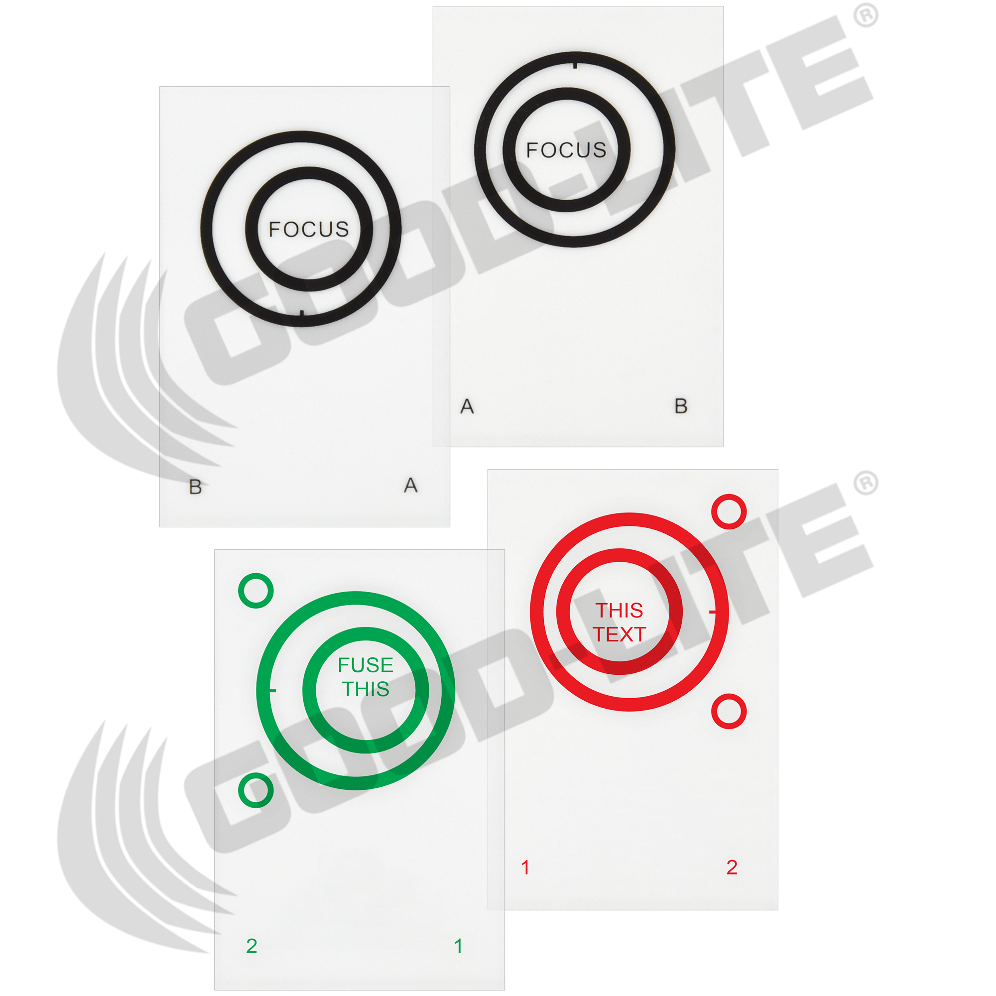 Good-Lite Eccentric Circles